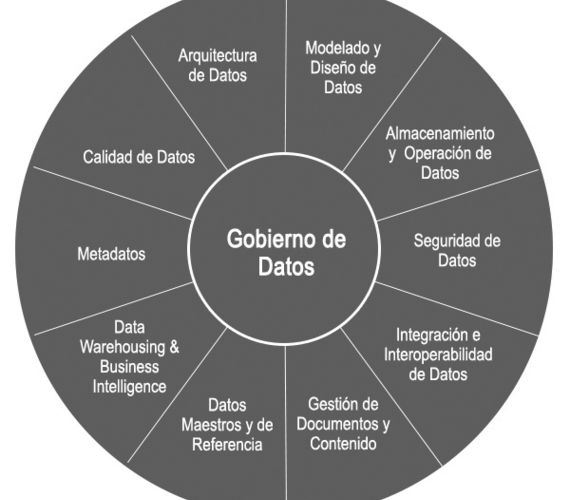 Conociendo el DMBOK | SG Buzz